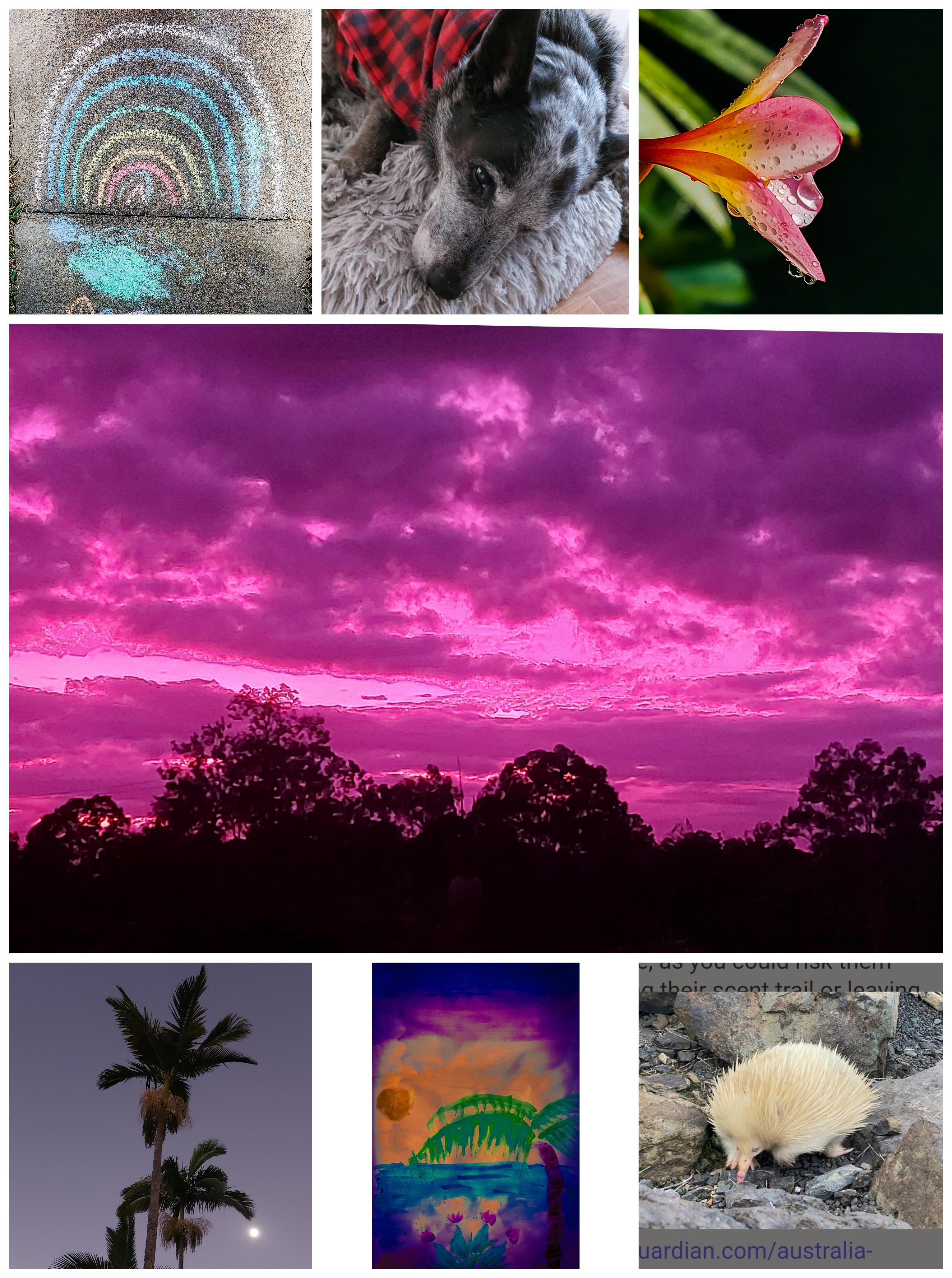 Ree-Writes #22: Eclectic – Ree-Imagined Worlds